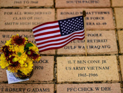Agent Orange Benefits | VA Compensation & Back Pay